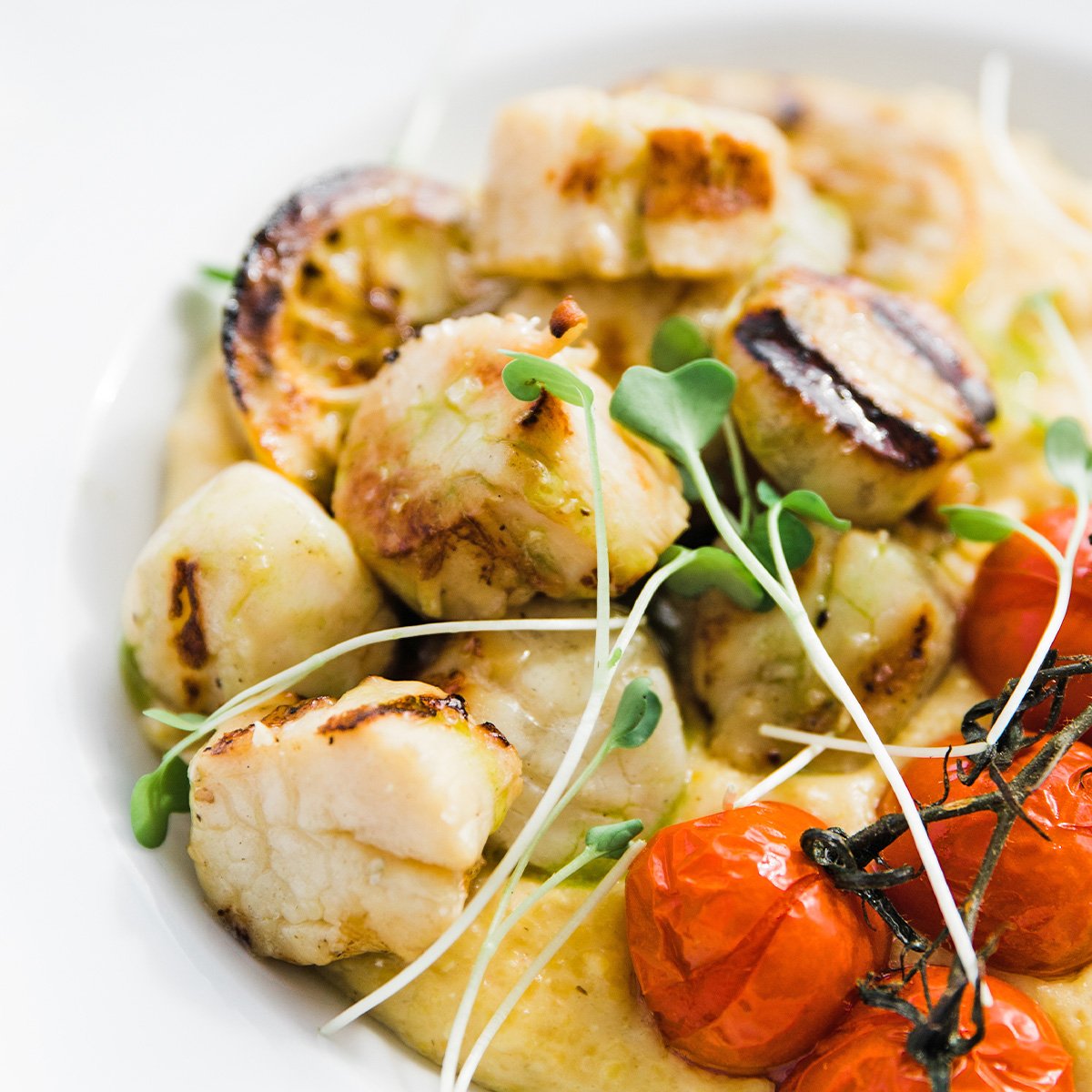 Grilled Sea Scallops Recipe - Chef Billy Parisi