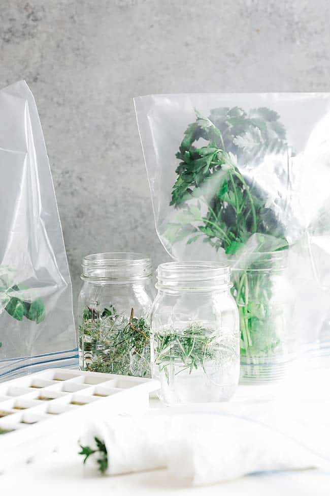How to Store Fresh Herbs - Chef Billy Parisi How to Store Fresh Herbs - Chef Billy Parisi