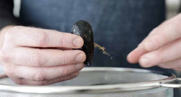 Mussels Recipe in Garlic Wine Broth - Chef Billy Parisi