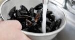 Mussels Recipe in Garlic Wine Broth - Chef Billy Parisi