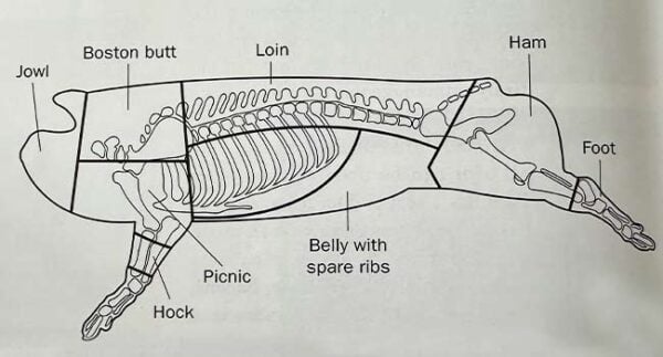 Pork Butt vs Pork Shoulder: Differences Explained - Chef Billy Parisi